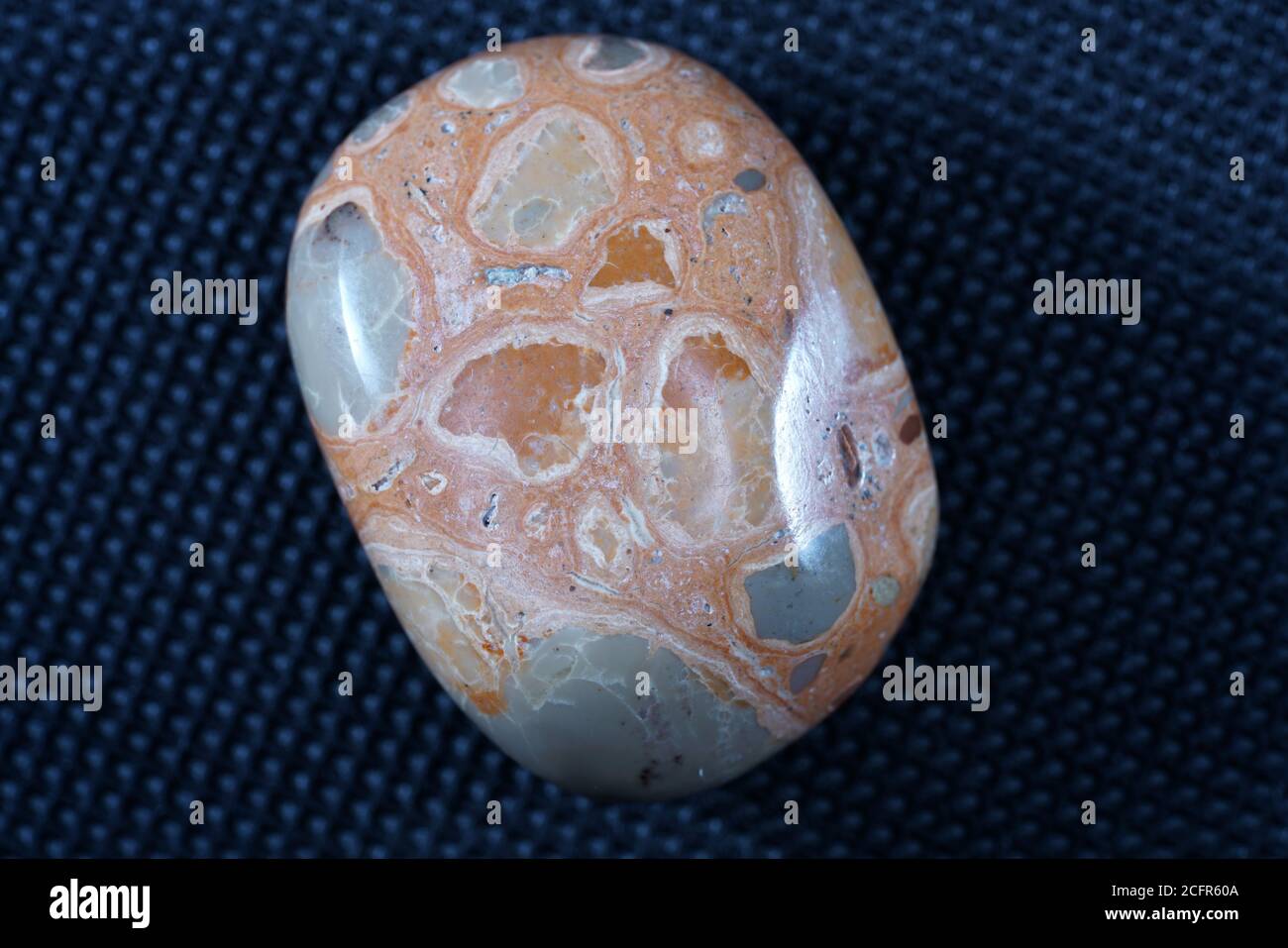 Leopard jasper hi-res stock photography and images - Alamy