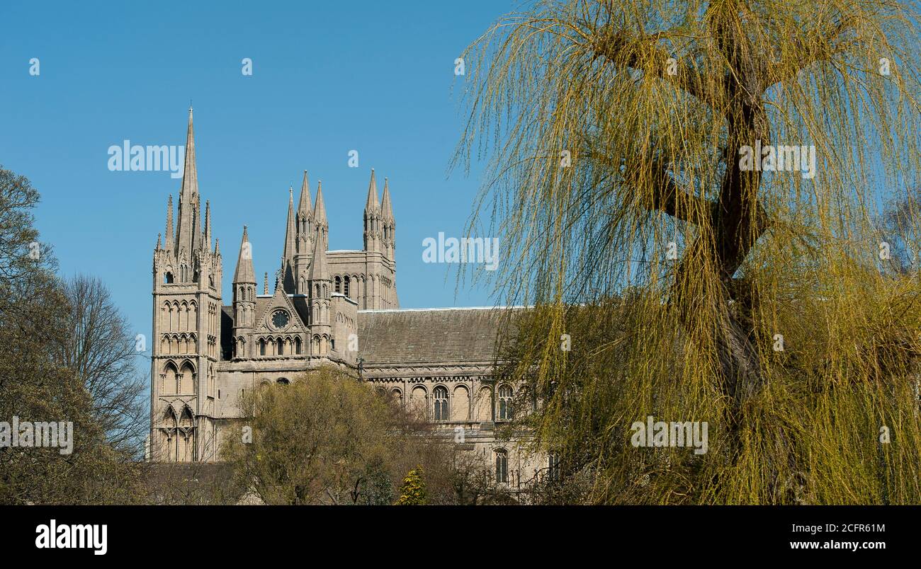 Peterborough Cathedral, Peterborough, Cambridgeshire, England Stock ...