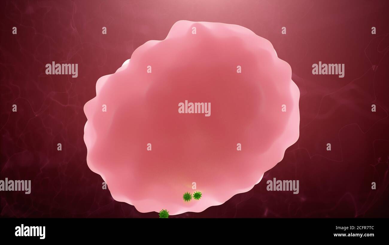 Human t cell virus hi-res stock photography and images - Alamy