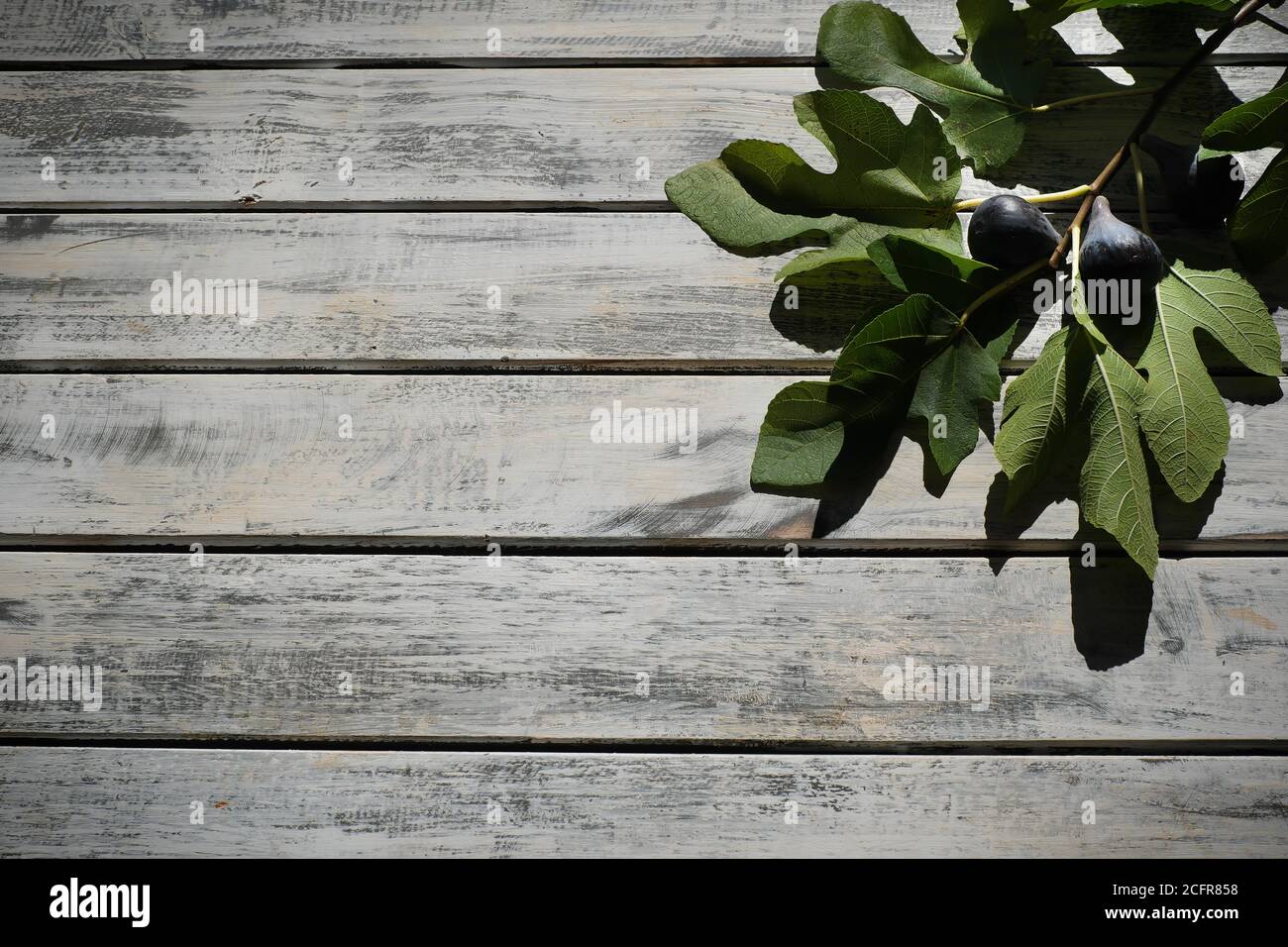 Leaf fig table hi-res stock photography and images - Alamy