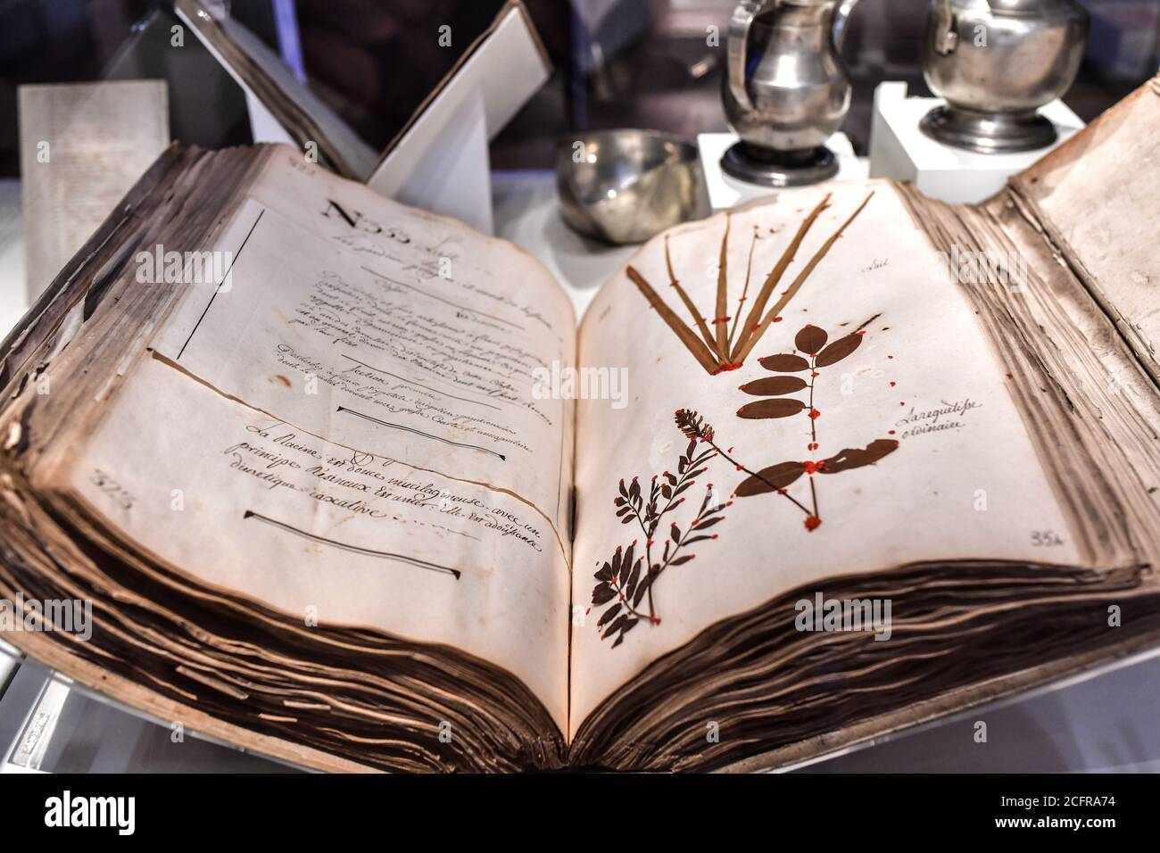 Lyon (central-eastern France). 2019/09/30. Preview showing of the ...