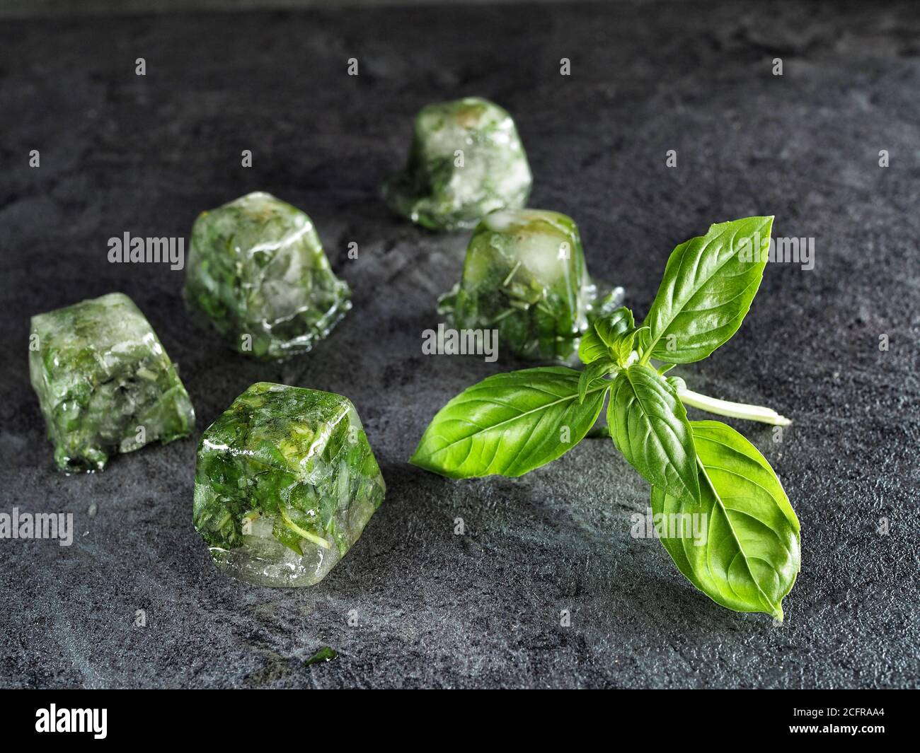 Fresh basil leaves (ocimum basilicum) in ice cubes with fresh basil on ...