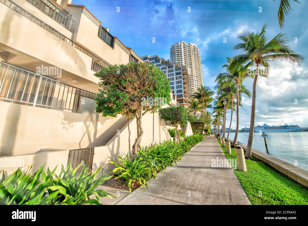 Miami Brickell Key buildings and trees on a sunny morning, Florida, USA ...