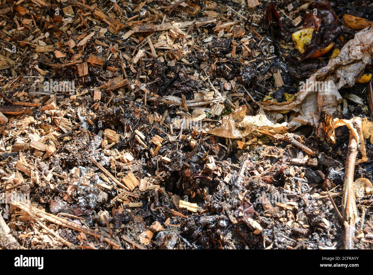 Community compost bin (composter Stock Photo - Alamy