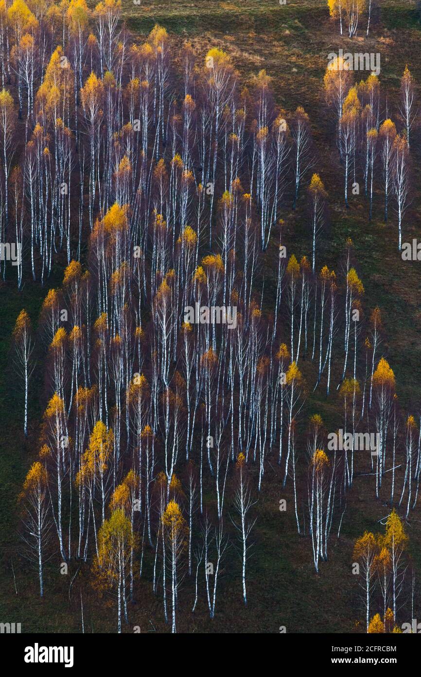 Beautiful autumn landscape with colorful trees Stock Photo - Alamy