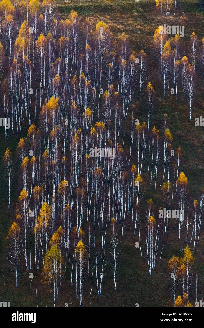 Beautiful autumn landscape with colorful trees Stock Photo - Alamy