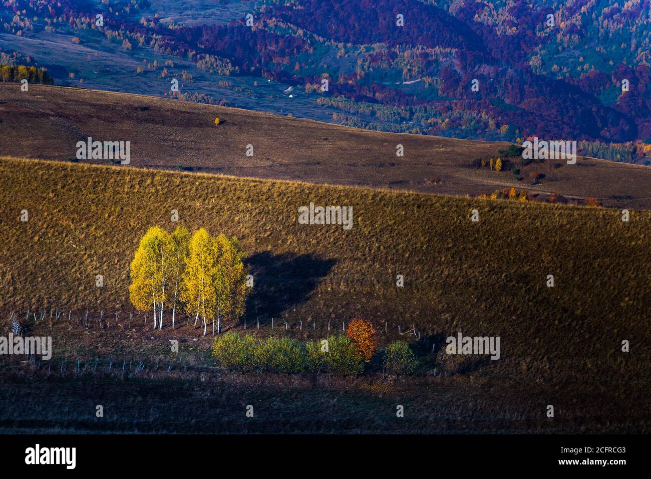 Beautiful autumn landscape with colorful trees Stock Photo - Alamy