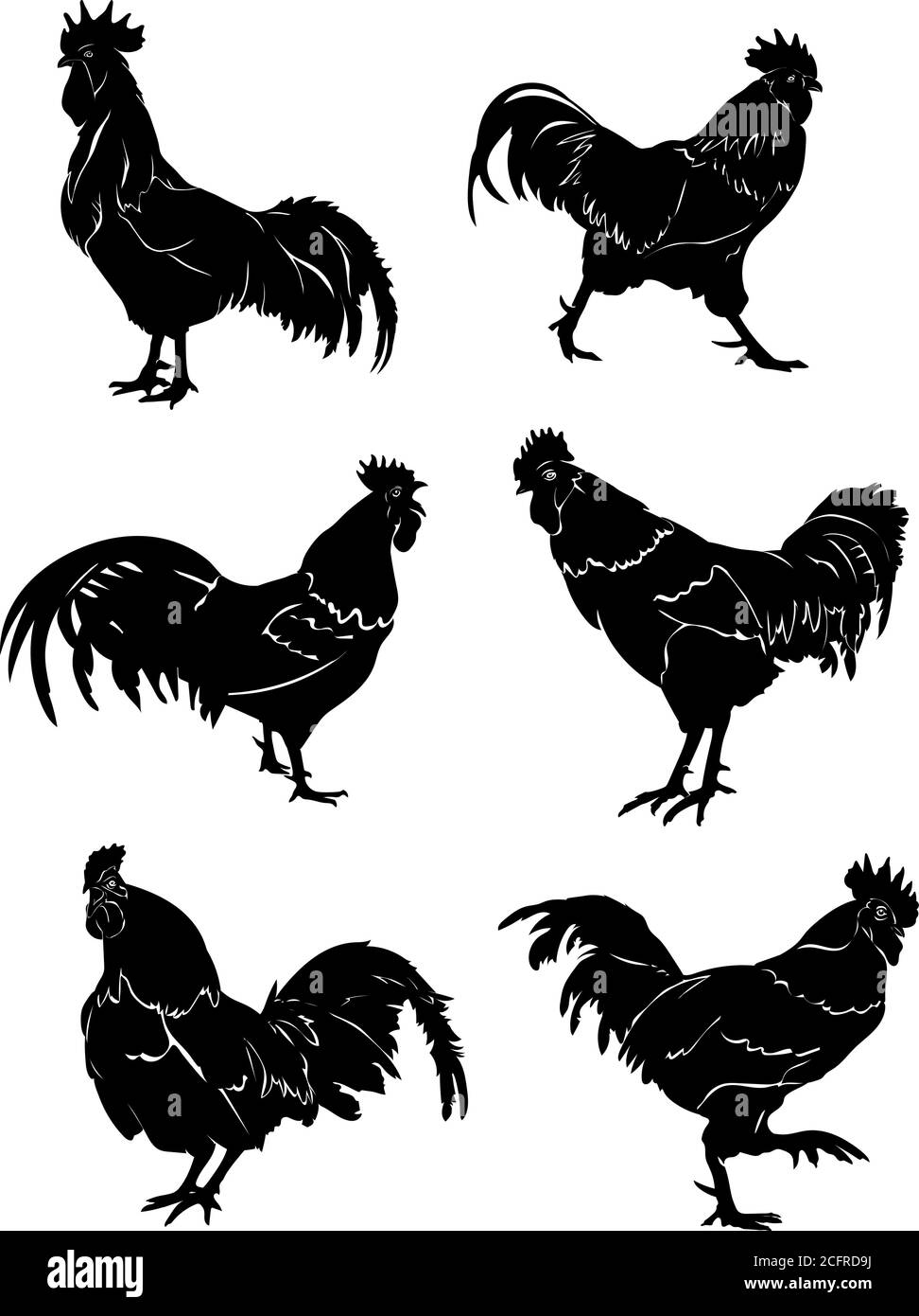 Rooster drawing hi-res stock photography and images - Alamy