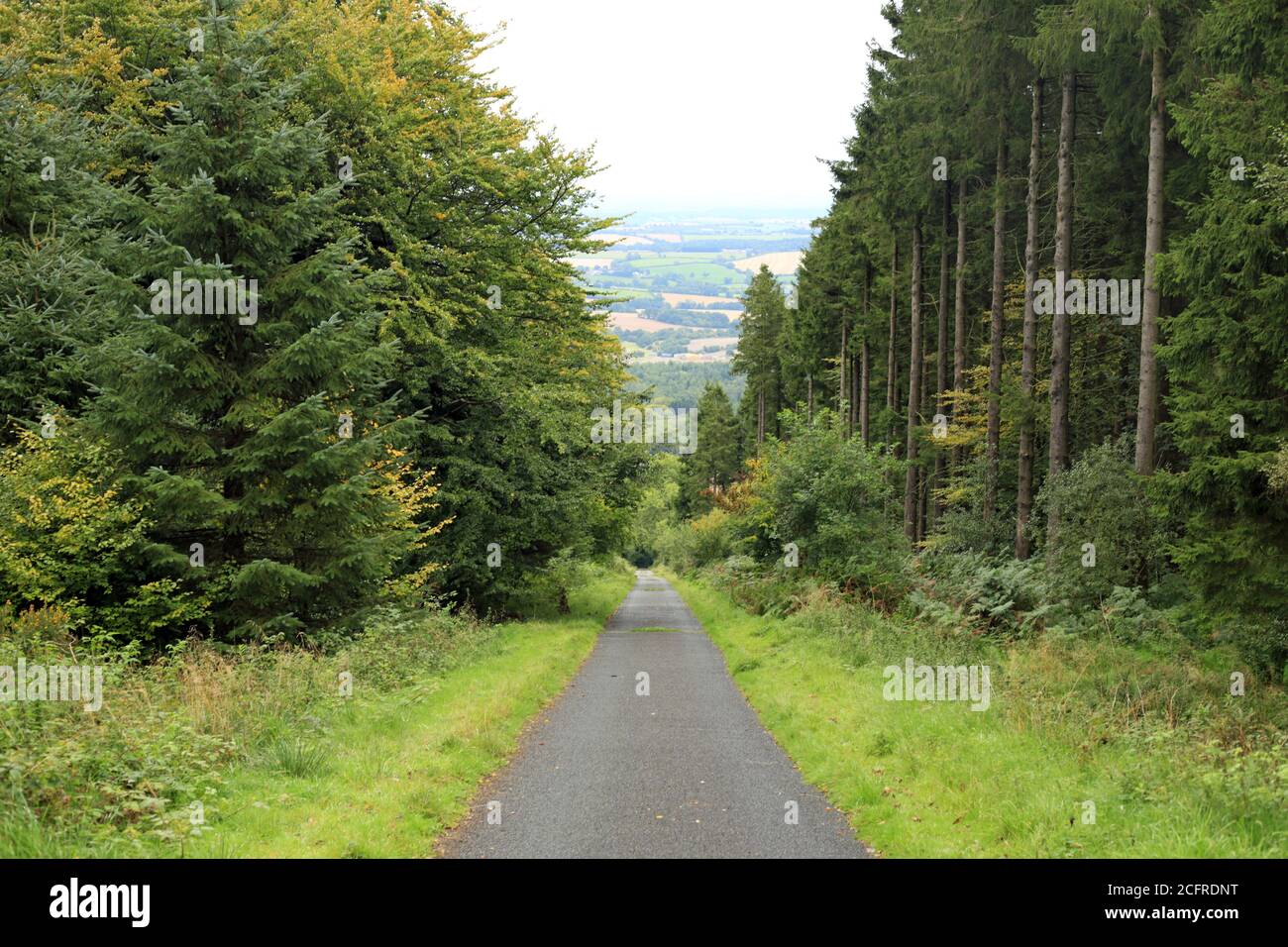 Clee burf hi-res stock photography and images - Alamy