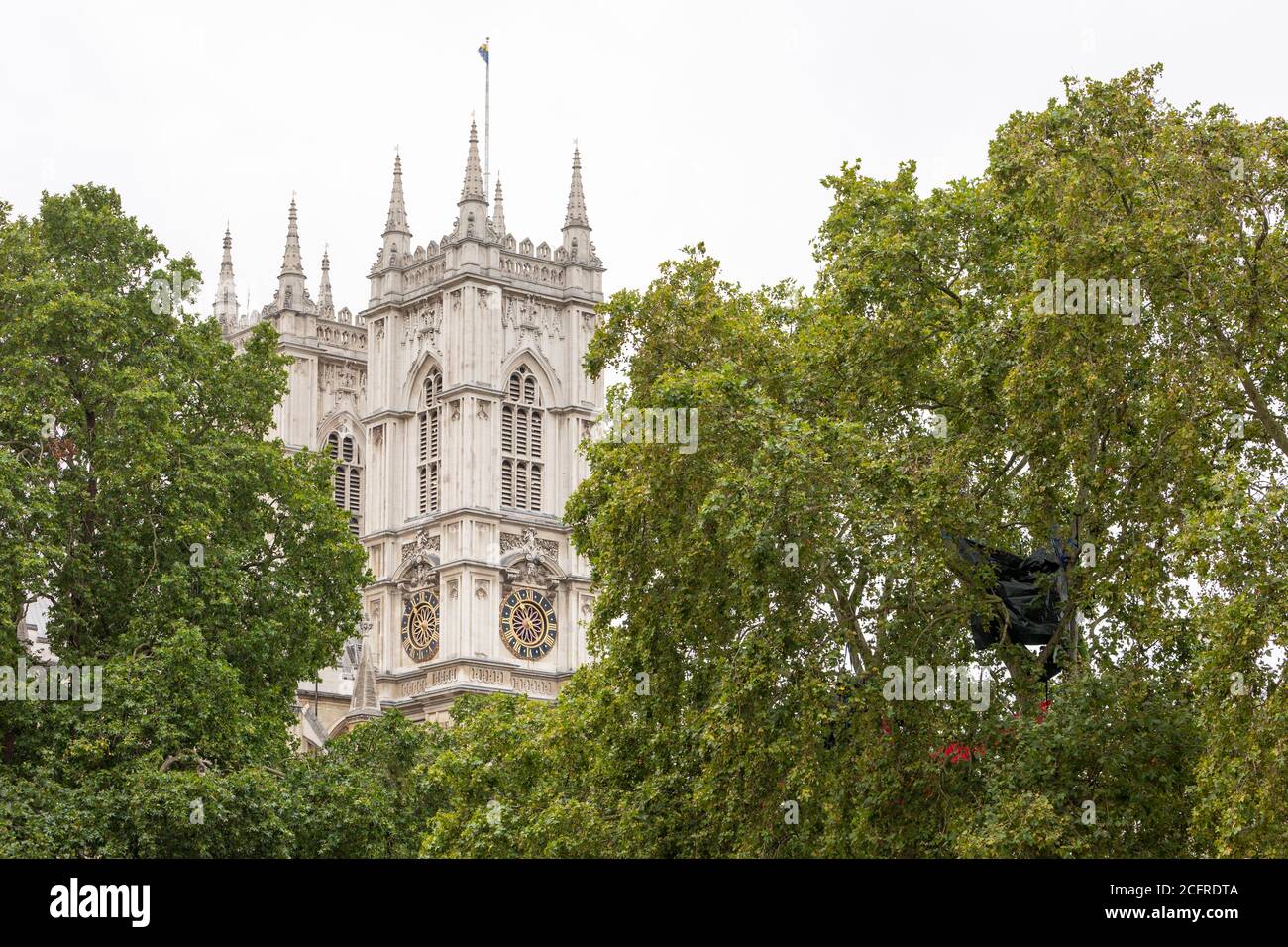 HS2 protesters in tree above Parliament Square with Westminster Abbey ...