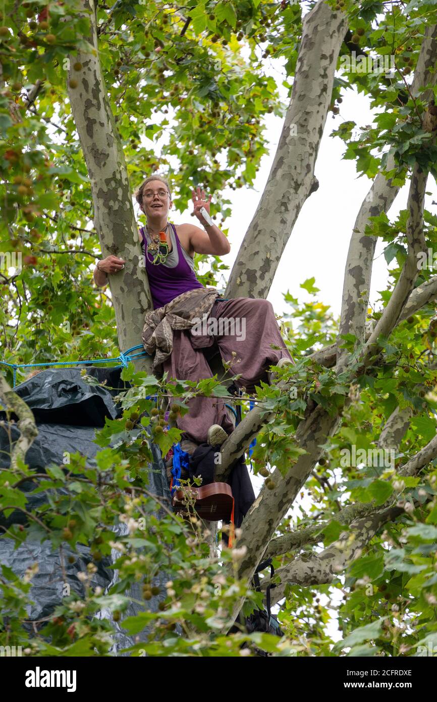Activist in tree hi-res stock photography and images - Alamy