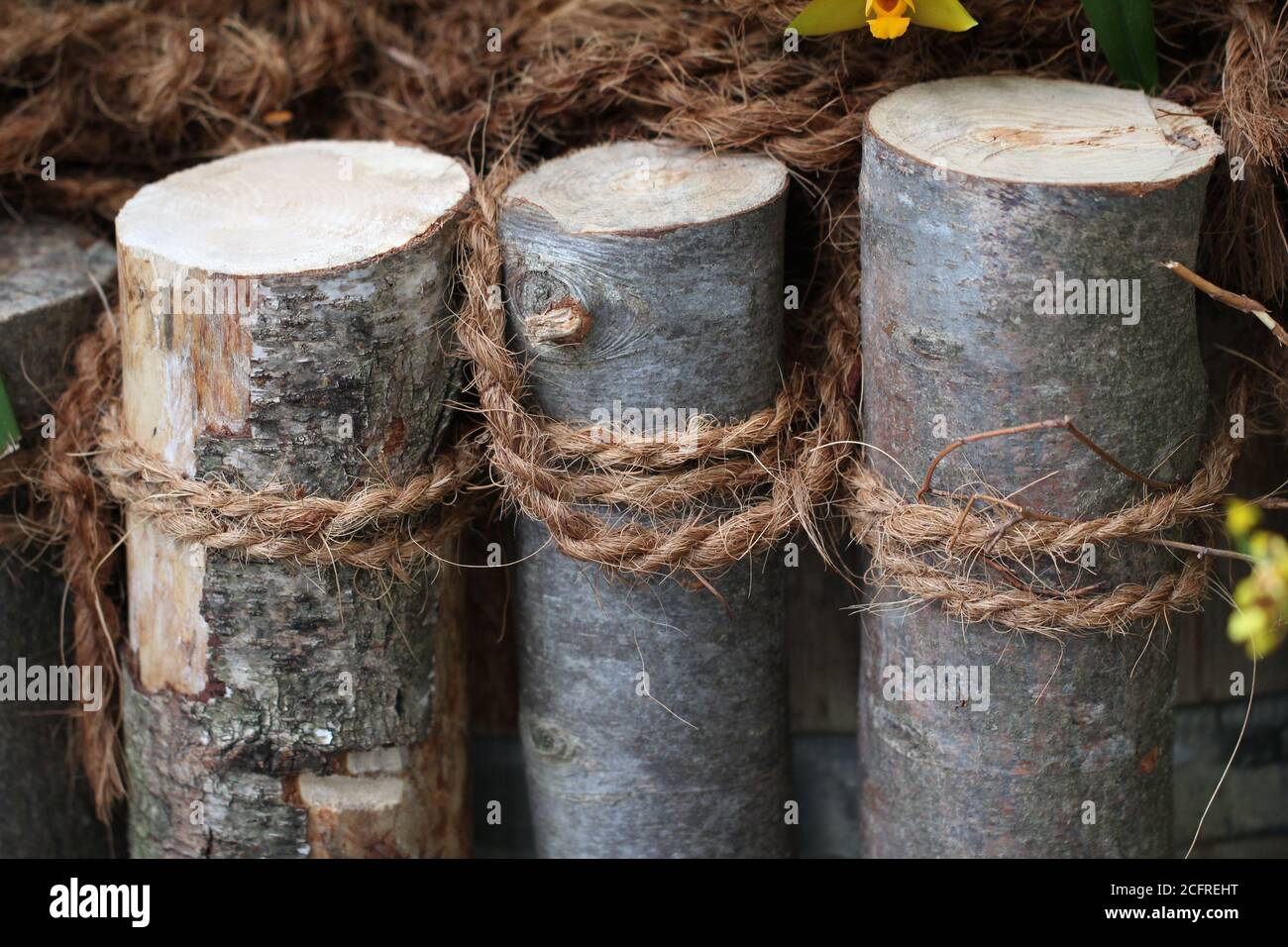 Wooden stakes with ropes hi-res stock photography and images - Alamy
