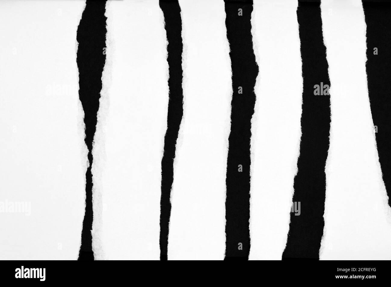 White ripped paper isolated on black background with copy space Stock ...