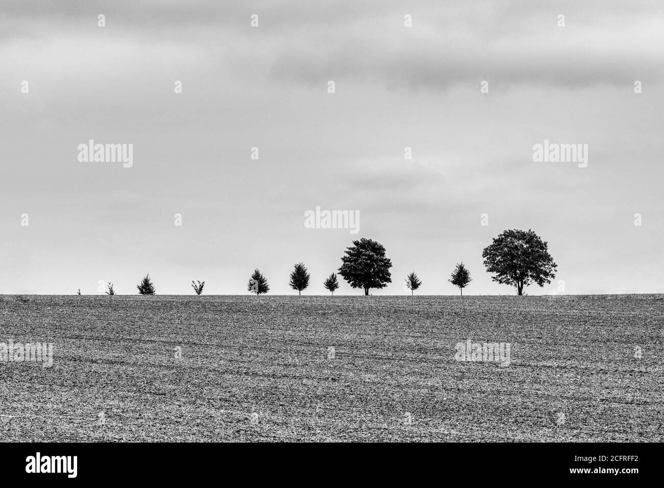 A minimalist line of trees on the horizon above a tilled farm field and ...