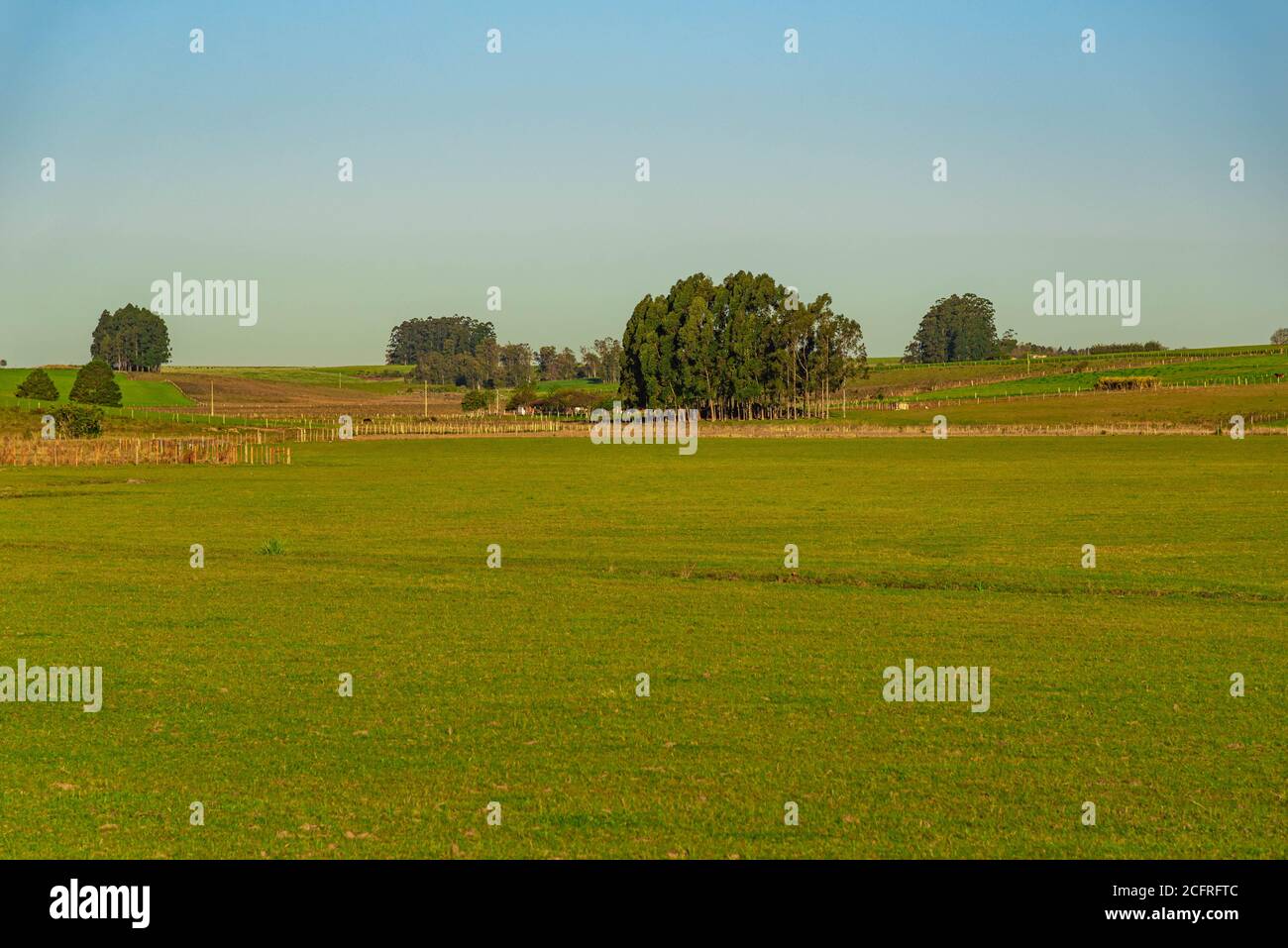 Rural landscape. Agricultural production farm fields. Livestock and soy ...
