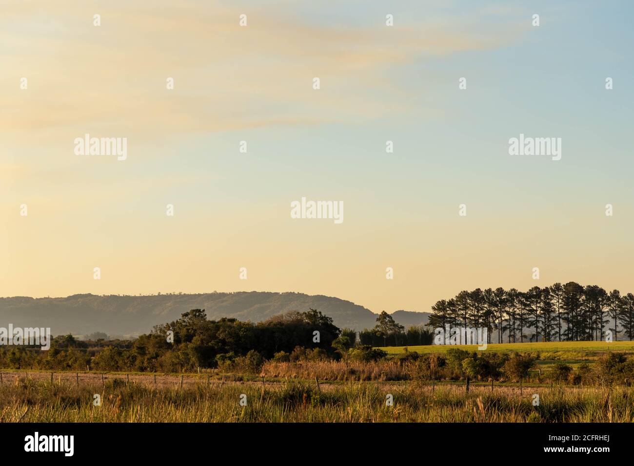 Rural landscape. Farm areas in southern Brazil. fields of the pampa ...