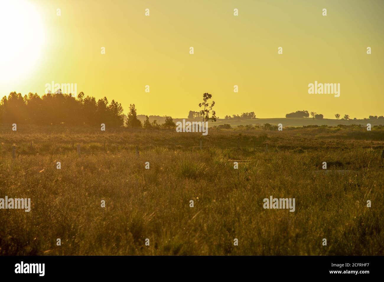 Rural landscape. Farm areas in southern Brazil. fields of the pampa ...