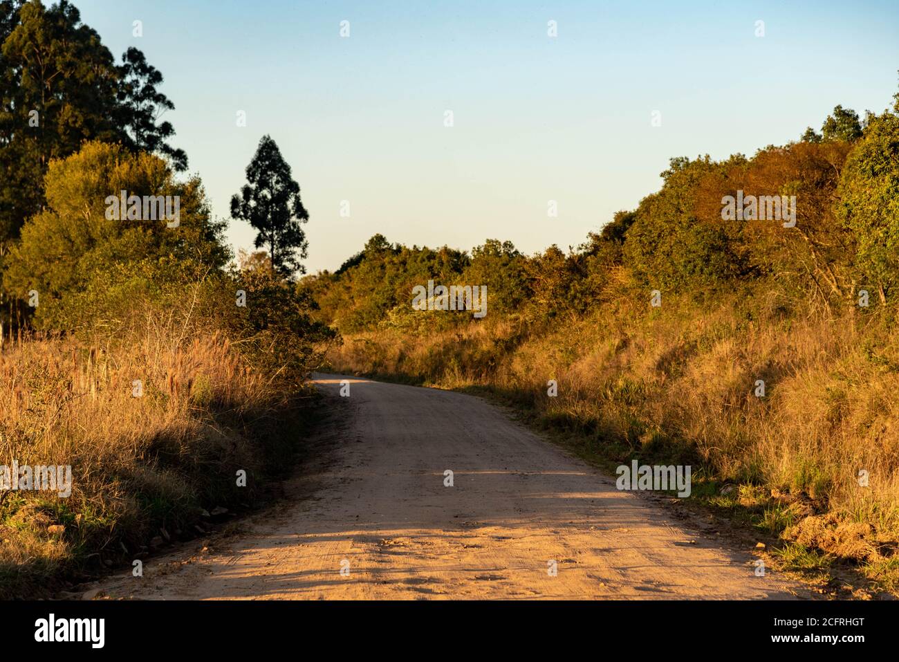 Rural landscape. Farm areas in southern Brazil. fields of the pampa ...