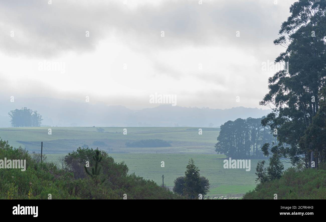 Pampa biome fields in southern Brazil. It is one of the most beautiful ...