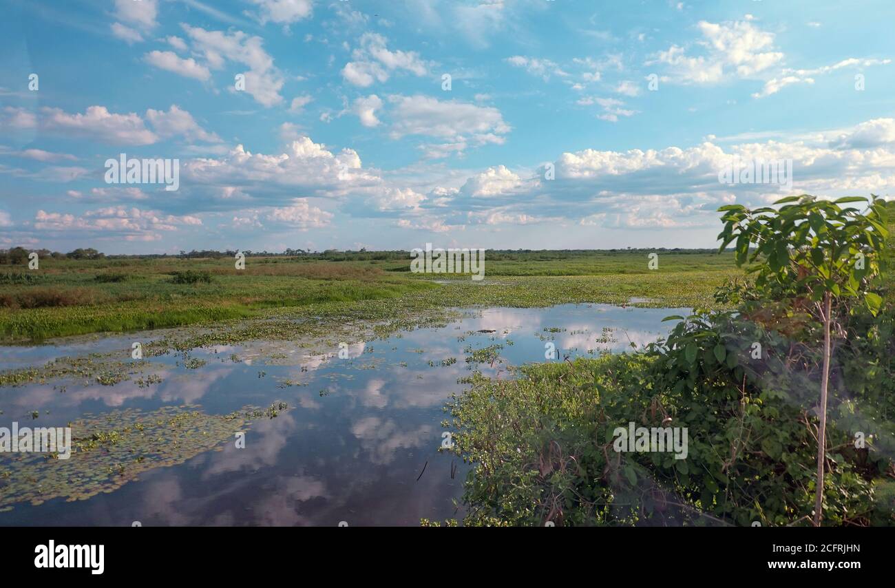 View of a small estuary of The Pantanal with vast open wetlands and a ...