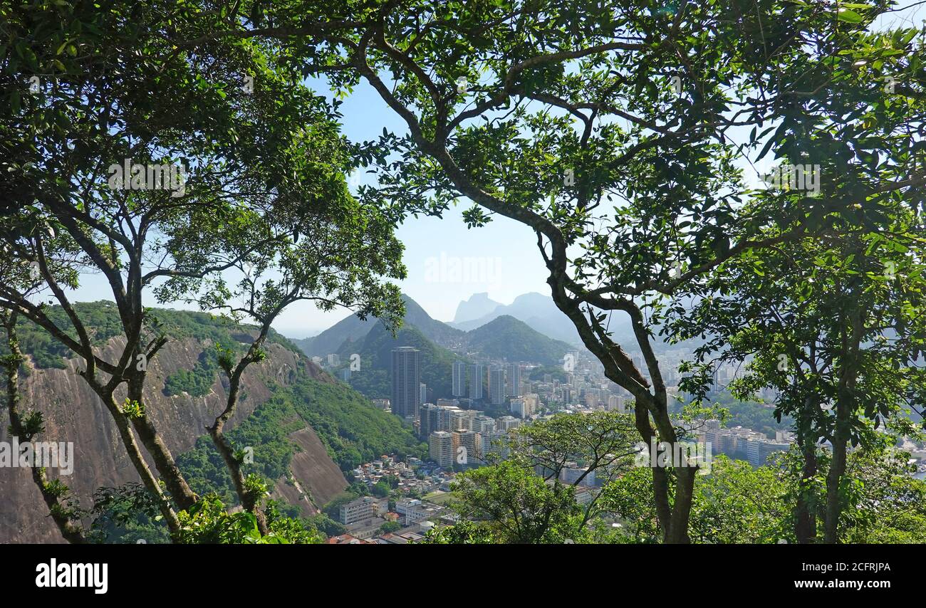 View over Rio De Janeiro framed by tall trees taken from top of ...