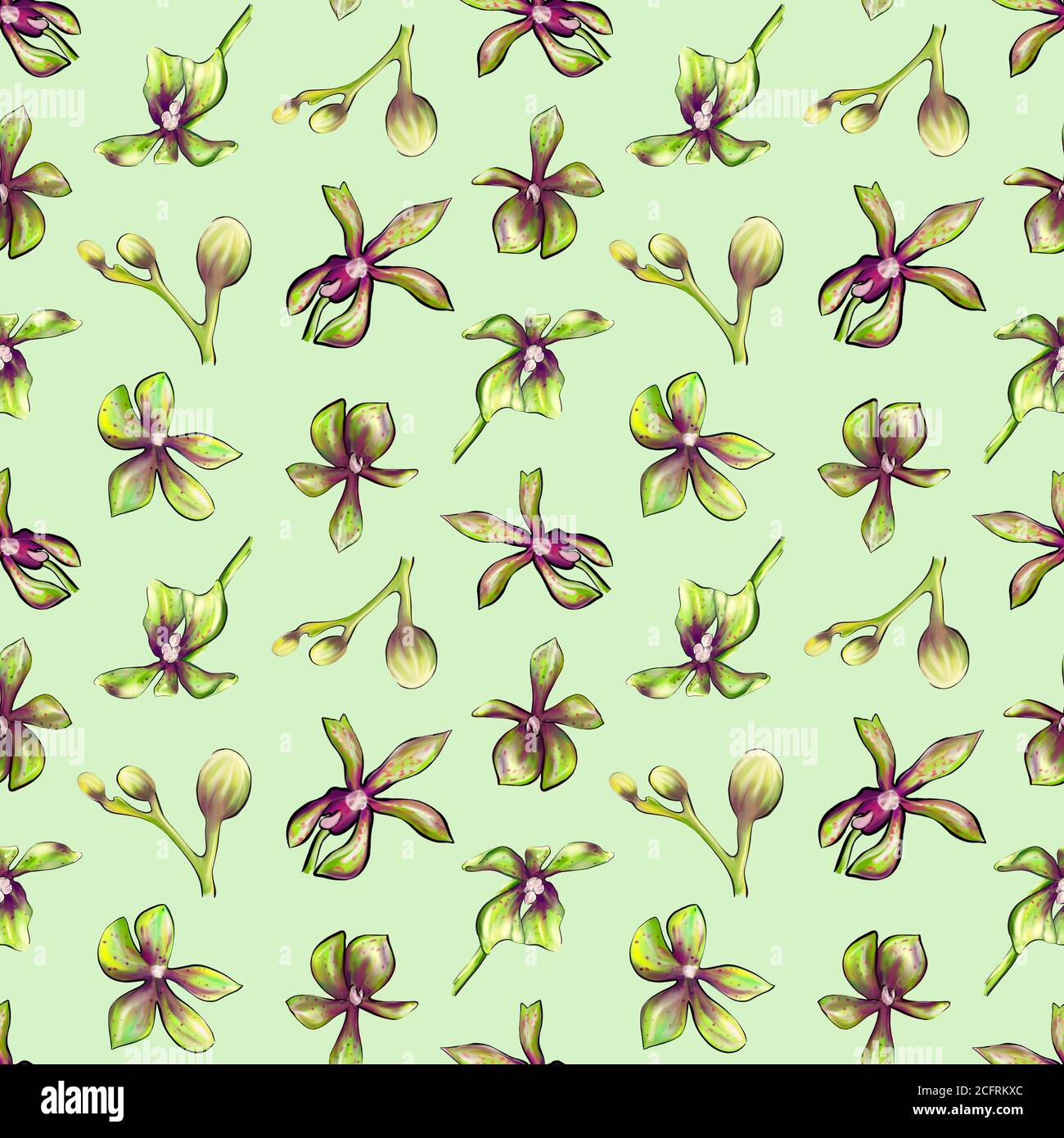 Seamless Botanical Pattern Of An Orchid On A Green Background