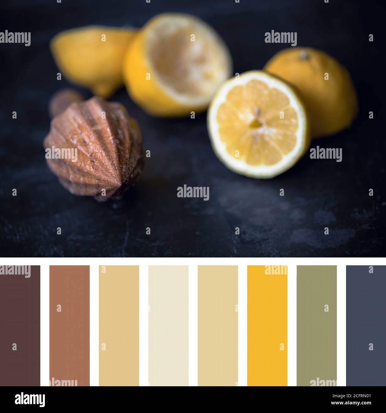 Skin tone chart hi-res stock photography and images - Alamy