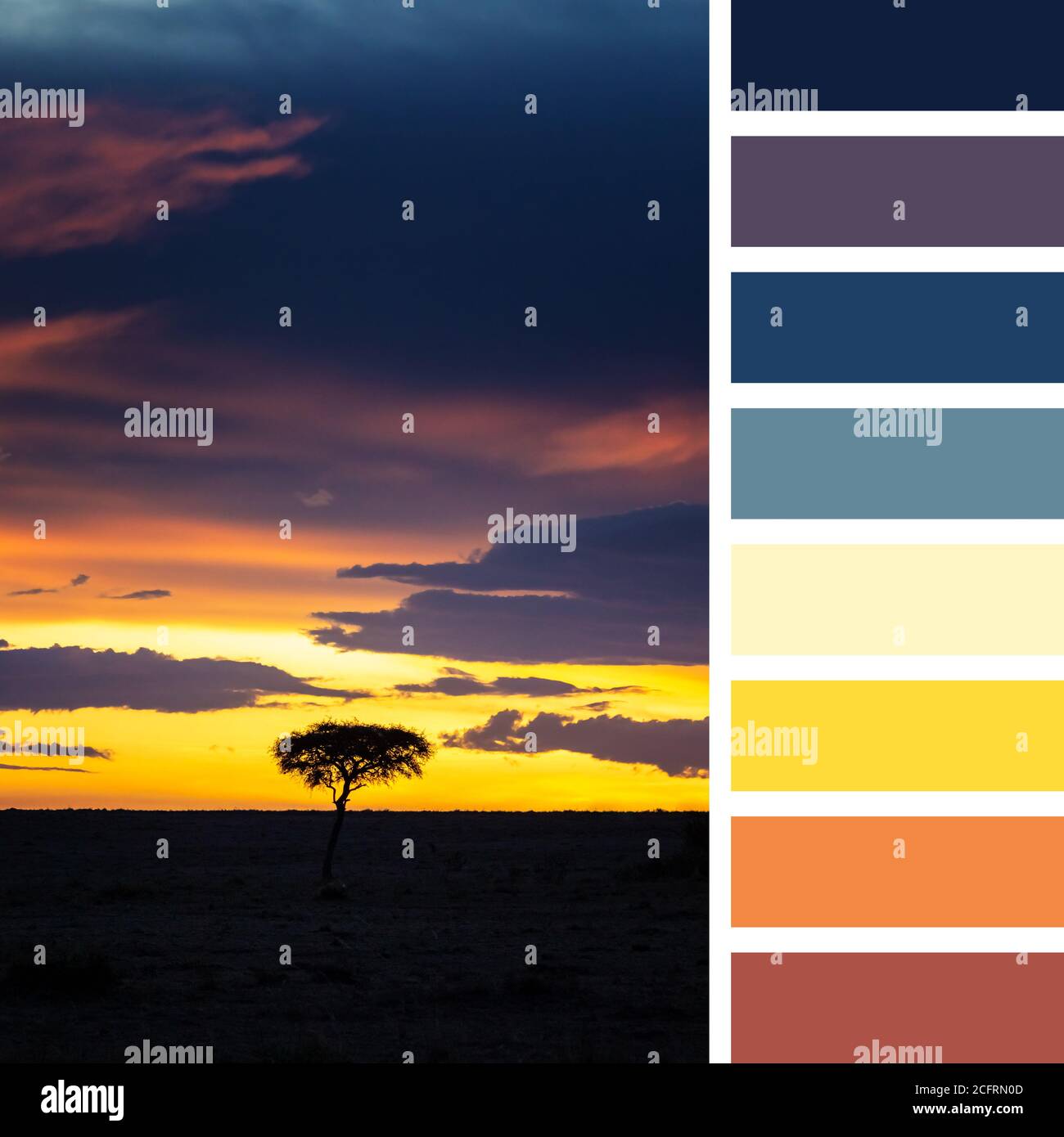 Lone acacia tree at sunset in the Masai Mara, Kenya. in a colour ...