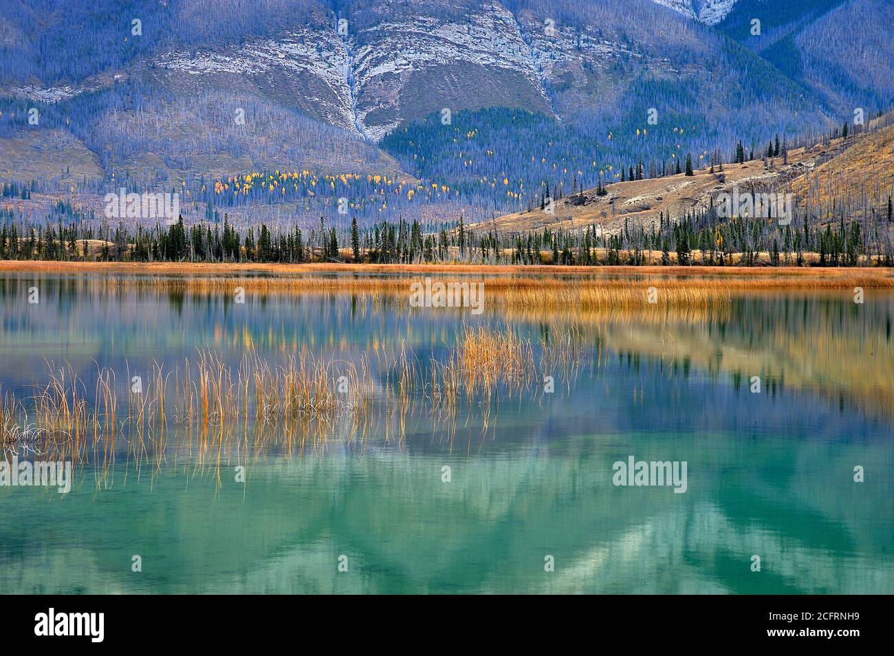 A close up reflective image of the rocky mountains in Talbot Lake with ...