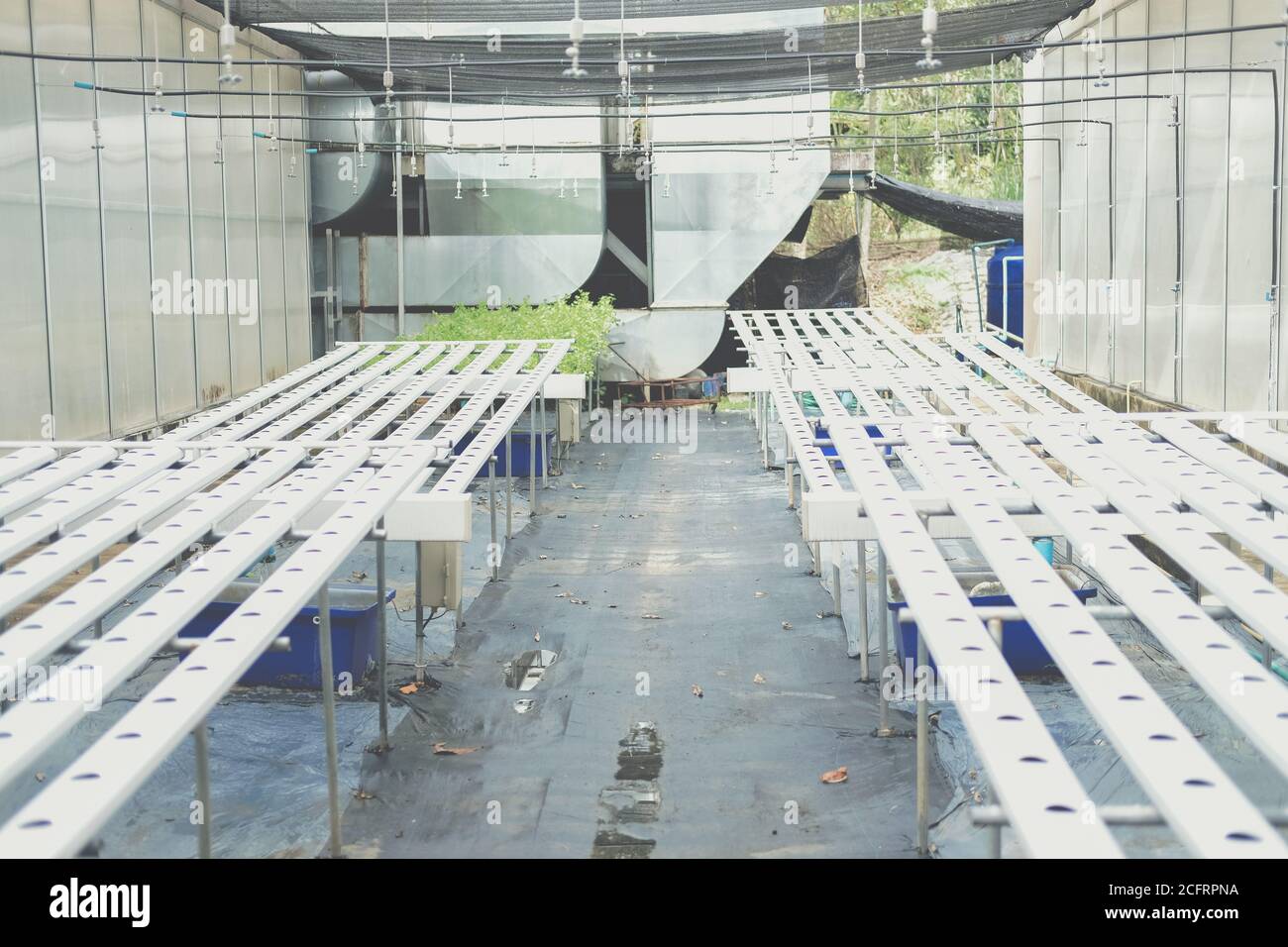 Hydroponic rail pipe with hole for growing vegetable plant in farm ...