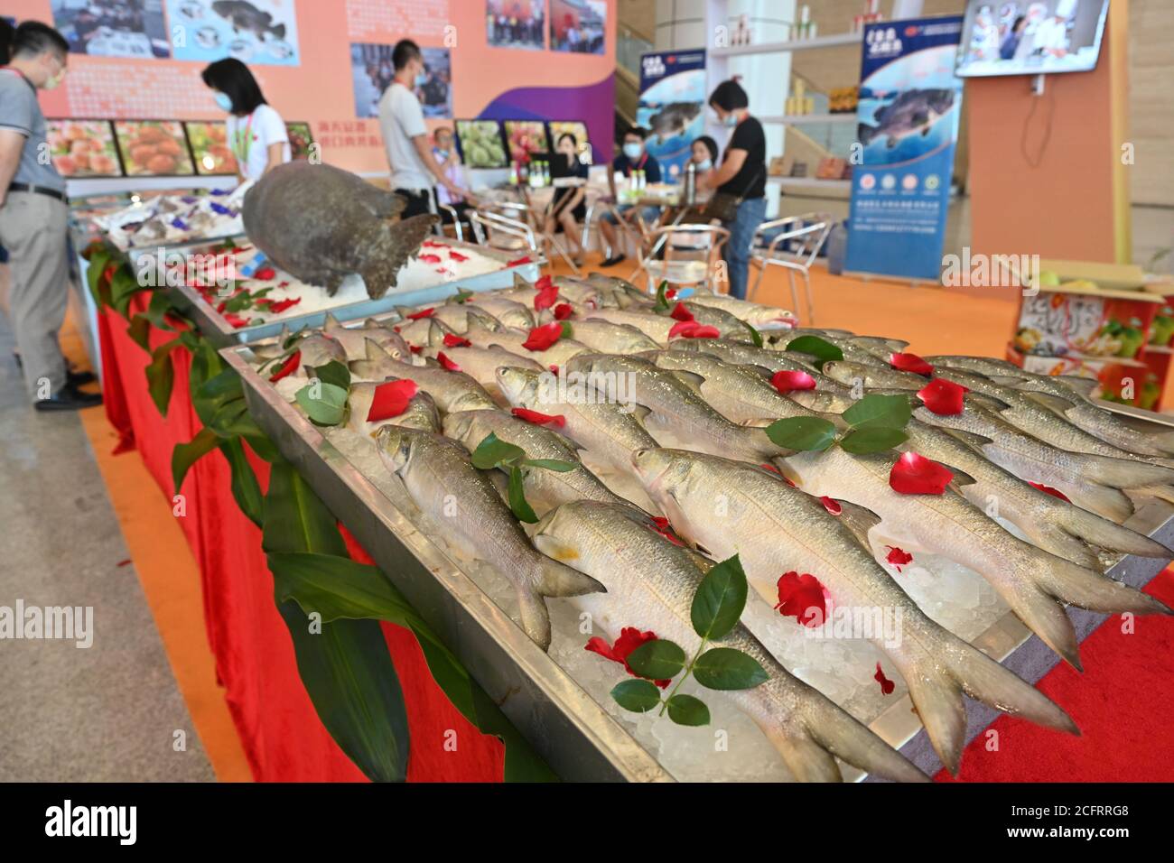Nanan chinas fujian province 7th hi-res stock photography and images ...