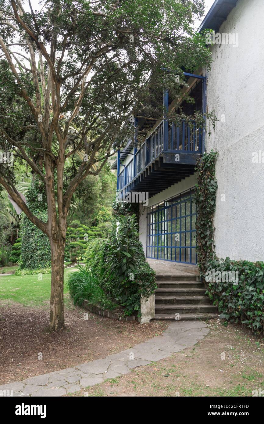 white country house with blue, next to a tree and vegetation, stone ...