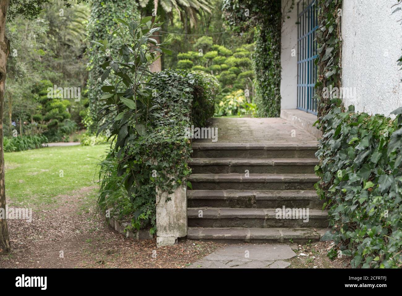 Tiered steps stairs hi-res stock photography and images - Alamy