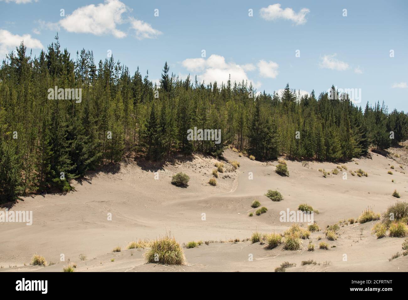 landscape with sand, trees with a clear sky that has clouds and little ...