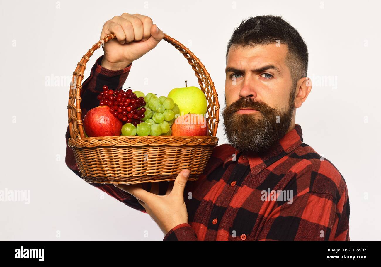 Man with beard holds basket with fruit isolated on white background ...