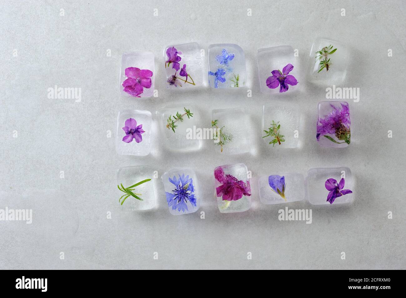 Floral ice cubes on the gray background. Edible flowers frozen in ice ...