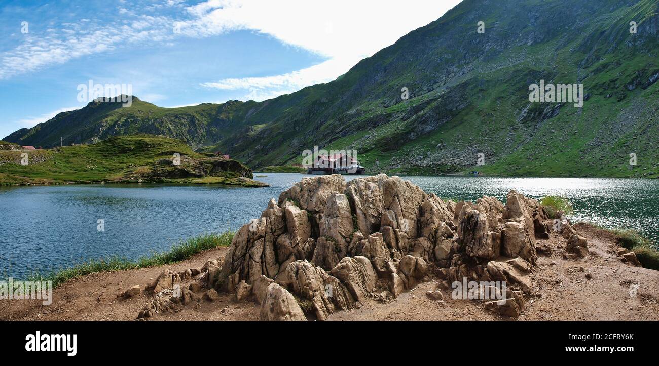 Hiding behind the rock Stock Photo - Alamy