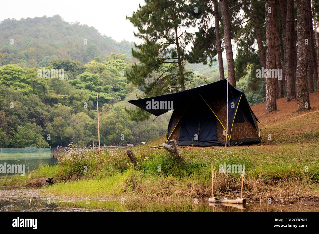 View landscape of Pang Ung pine forest and tent camping while bamboo ...