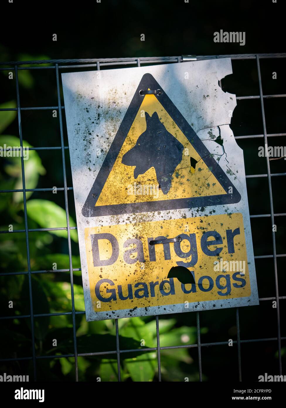 Guard Dog Sign Stock Photo - Alamy