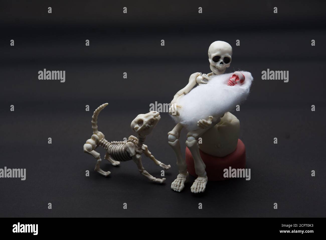 Skeleton mother with her children and a skeleton dog, happy moment for ...
