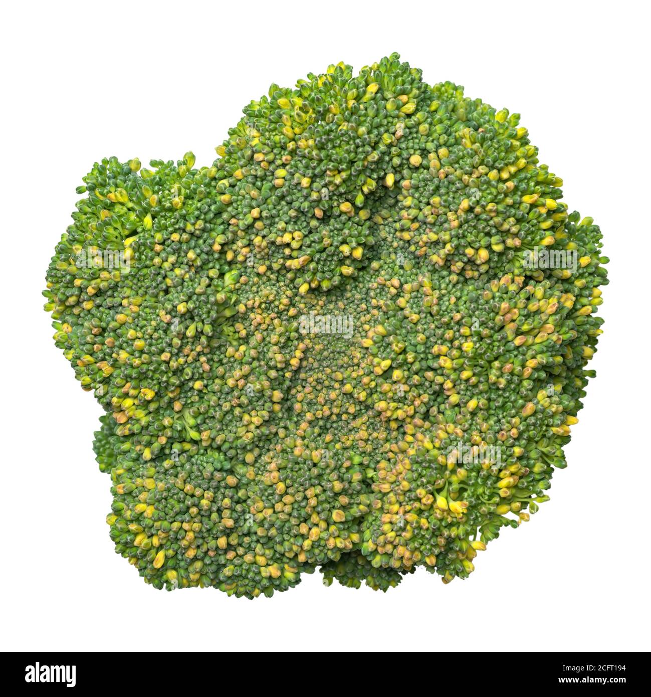 Natural texture photography Cut Out Stock Images & Pictures - Alamy