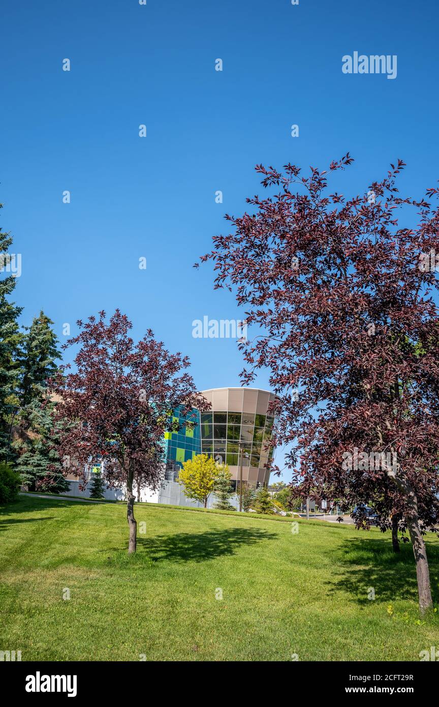 Exterior of buildings on the Mount Royal University Campus in Calgary ...