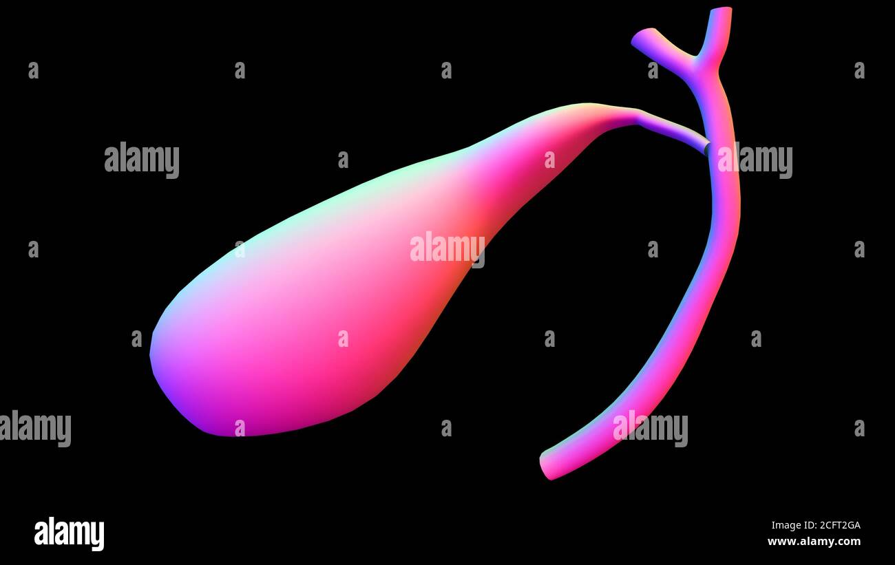 pancreas Human Digestive System Anatomy For Medical Concept 3D ...