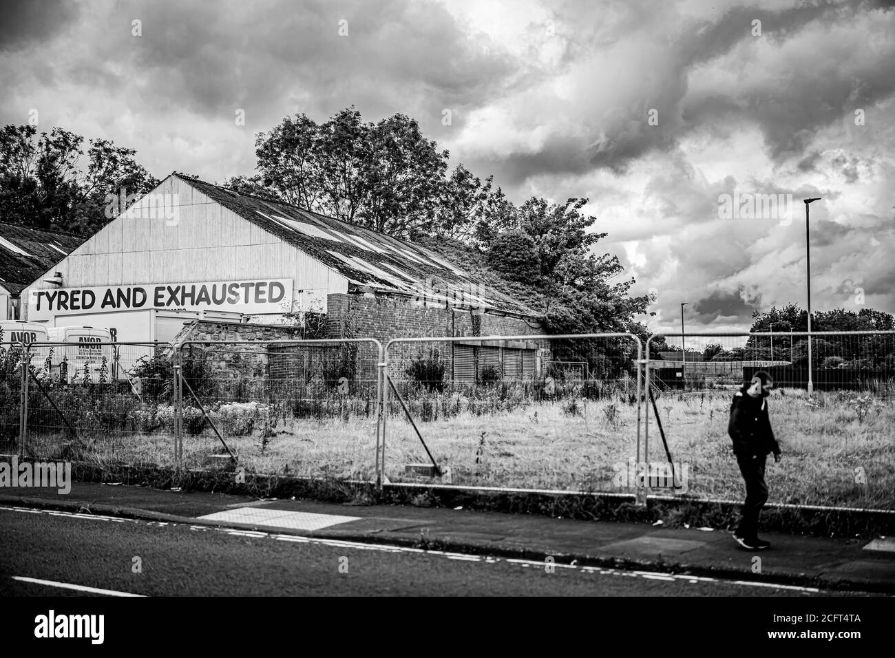 Bedlington High Resolution Stock Photography and Images - Alamy