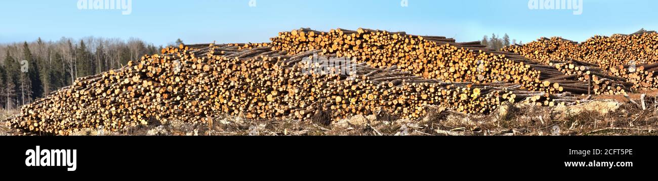 Total deforestation hi-res stock photography and images - Alamy