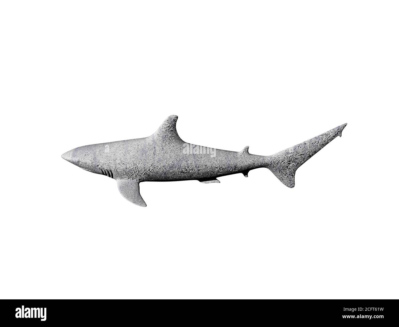 Haifisch hi-res stock photography and images - Alamy