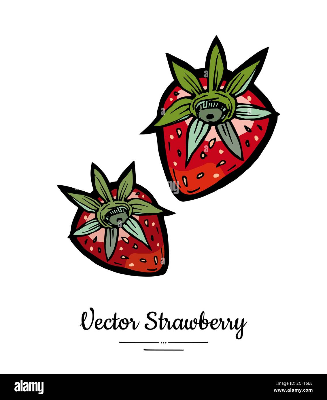 Strawberry vector isolated. Red berries hand drawn illustration. Trendy ...