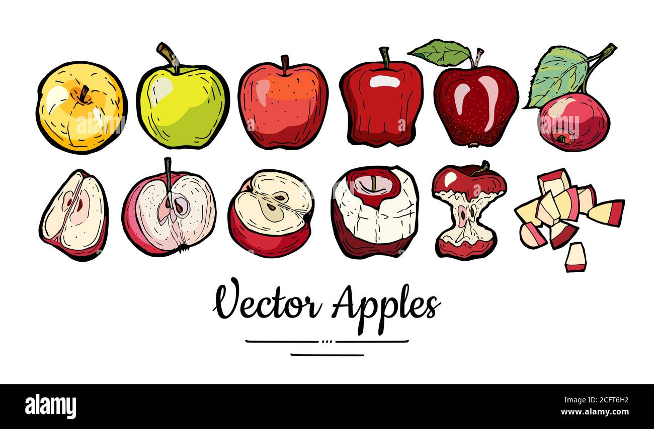 Apples vector isolated set. Red green yellow fruits hand drawn illustration Trendy food ...
