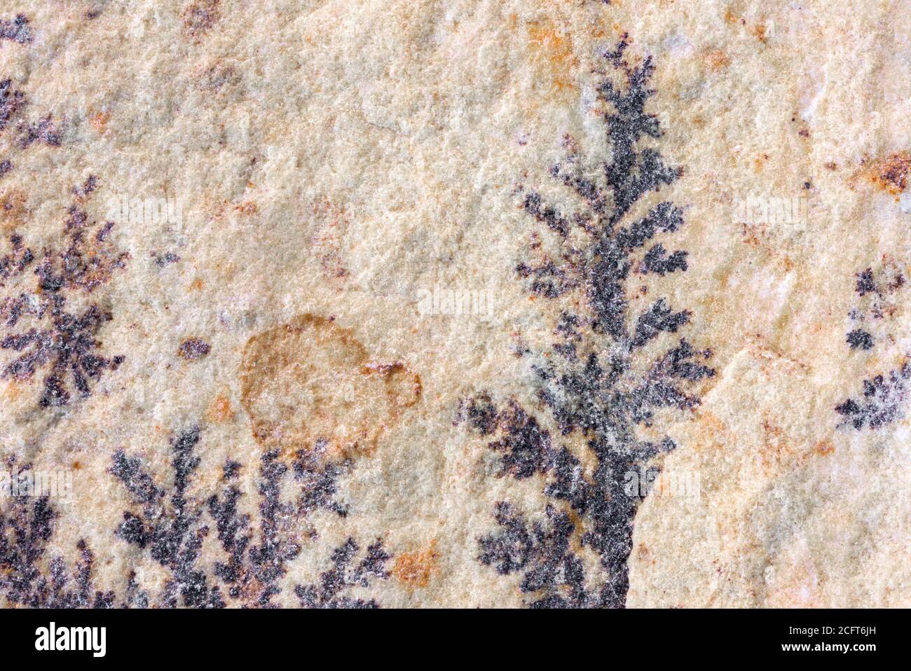 Closeup of manganese on sandstone Stock Photo - Alamy