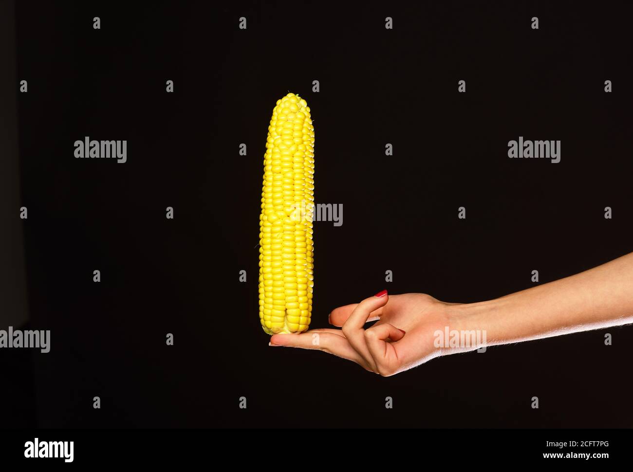 Female hand holds corn isolated on black background. Farming and fall ...